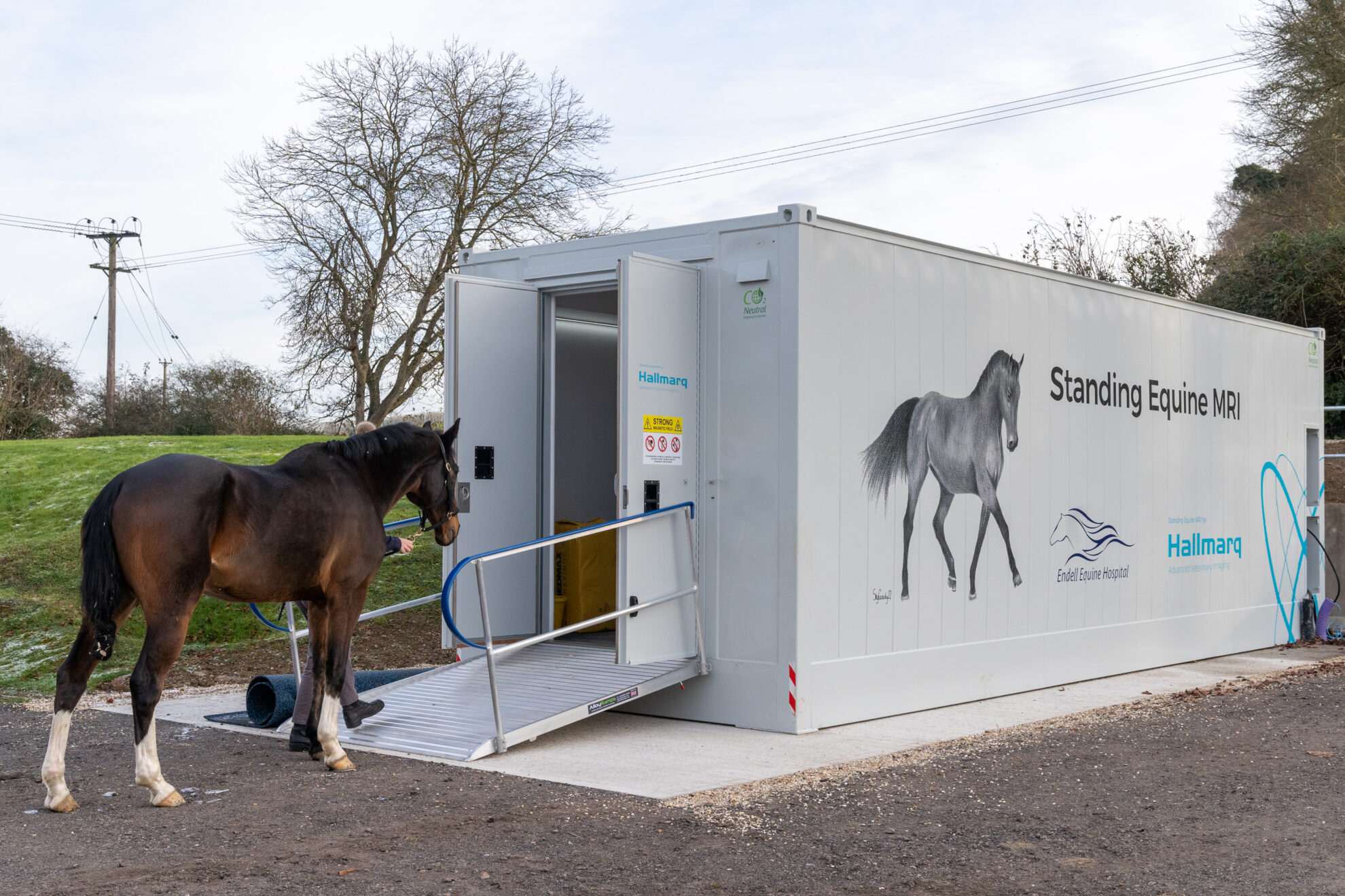 Standing Equine MRI for Horses | Hallmarq Veterinary Imaging