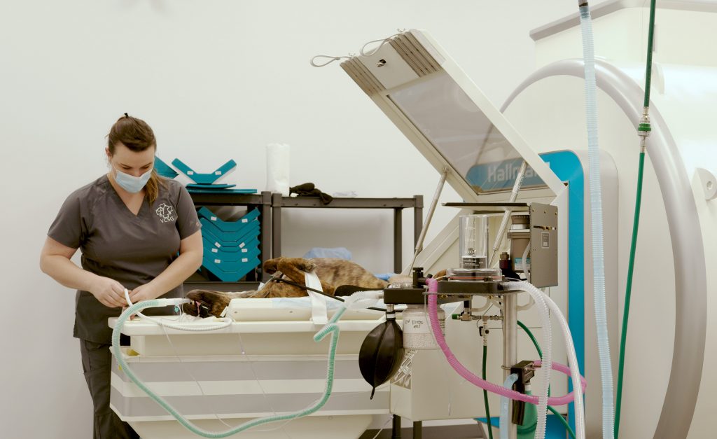 Customer collaboration increases accessibility of Hallmarq’s Standing ...