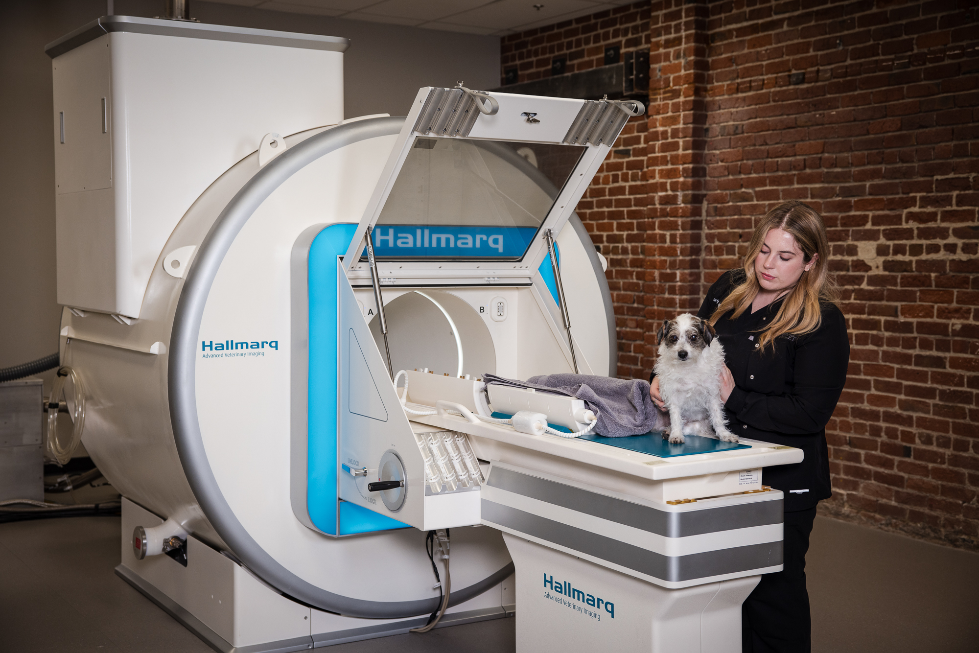 Small Animal MRI Machines | Hallmarq Veterinary Imaging