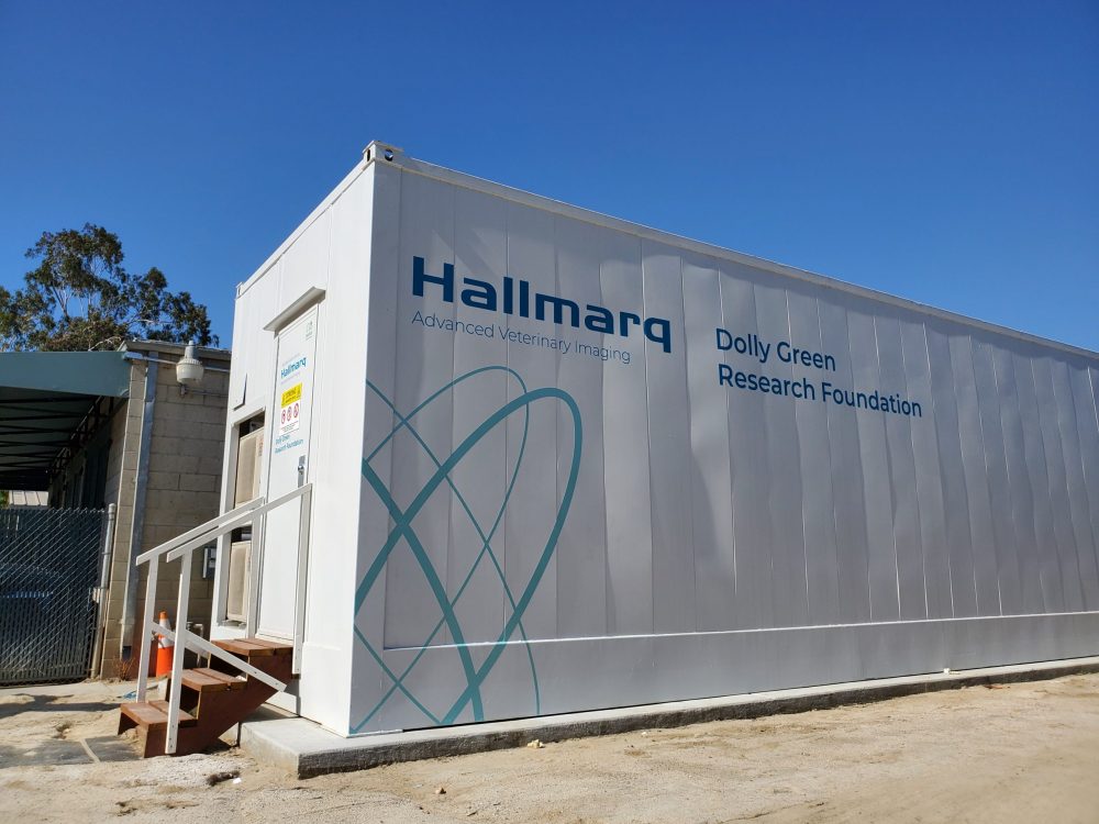 Small animal MRI – complete guide - Hallmarq Veterinary Imaging