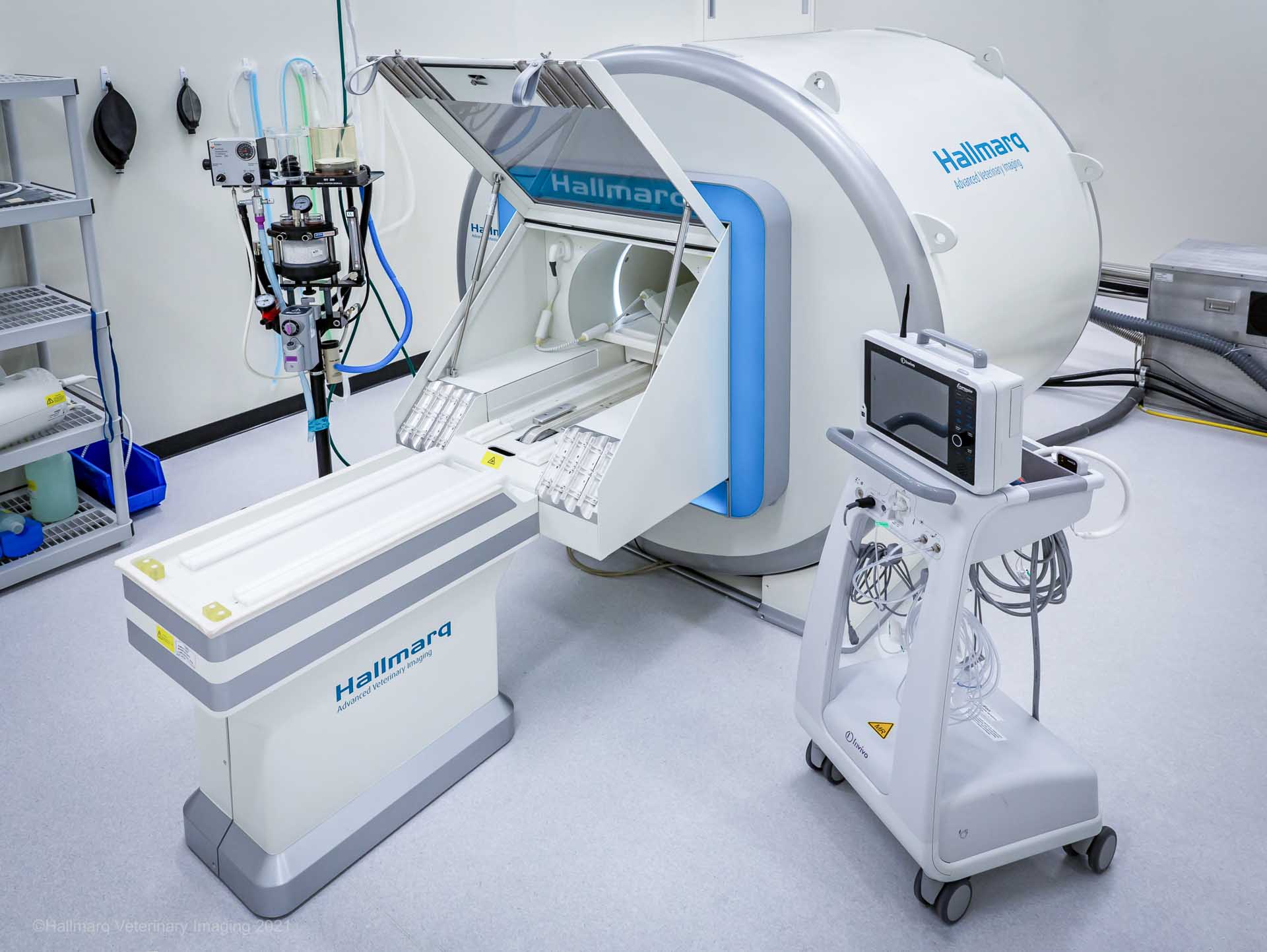 3 Factors to Consider Before Adding Veterinary MRI Services - Hallmarq ...