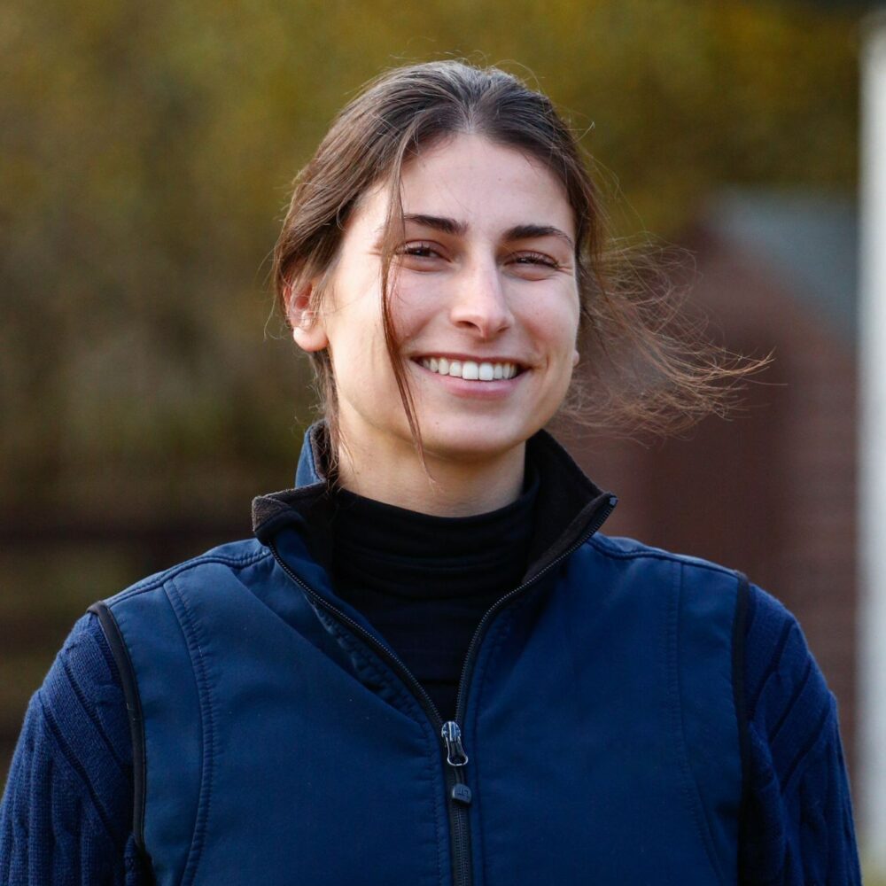 Down vs. Standing Equine MRI - Hallmarq Veterinary Imaging