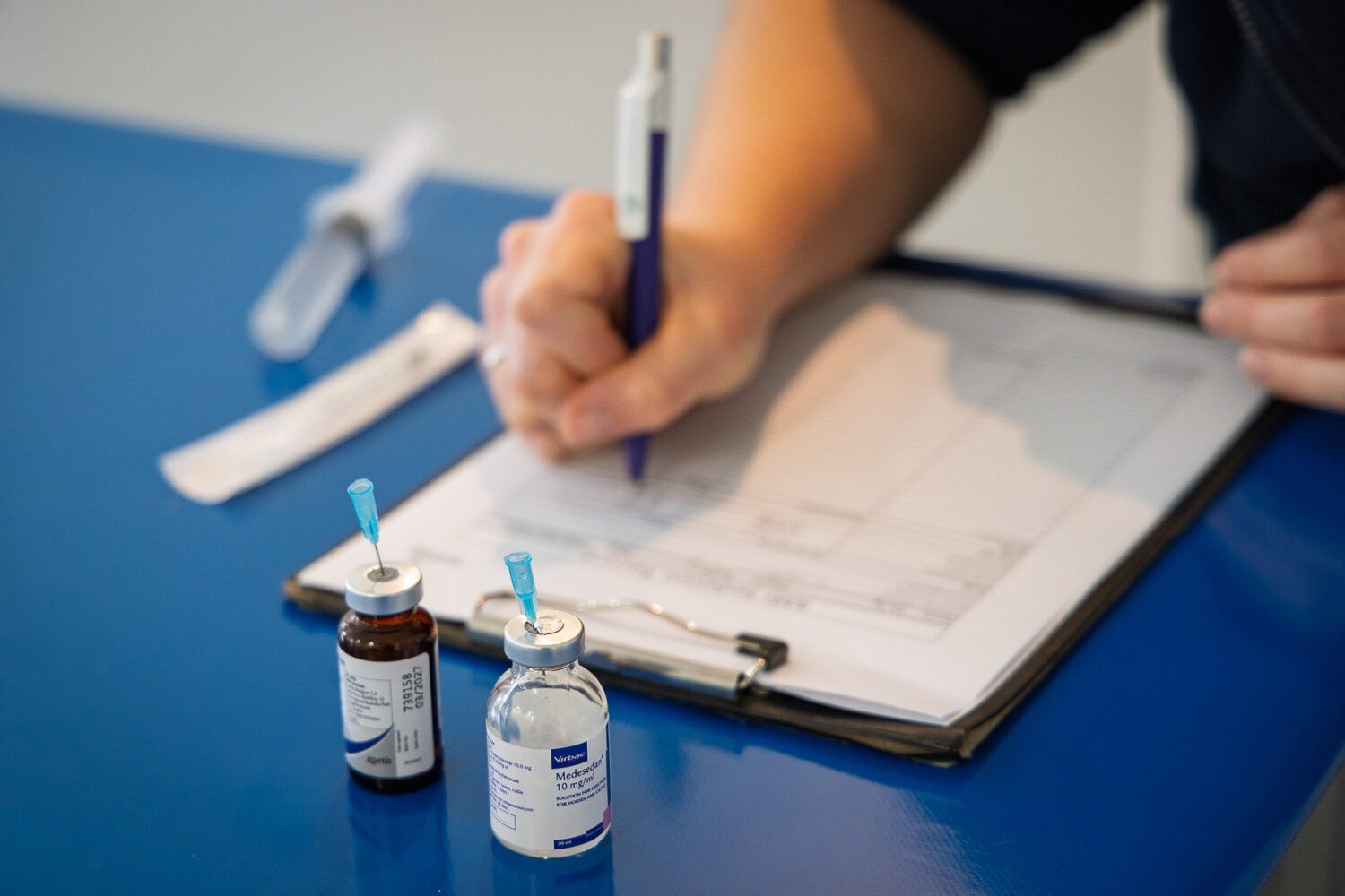 Scanning the proximal limb – practical tips - Hallmarq Veterinary Imaging