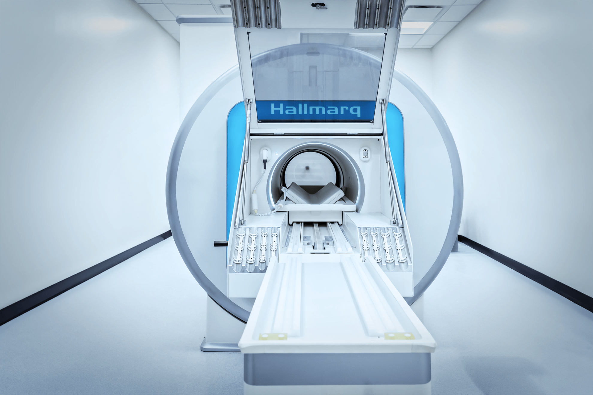 Guide to Small Animal MRI: Everything You Need to Know - Hallmarq ...